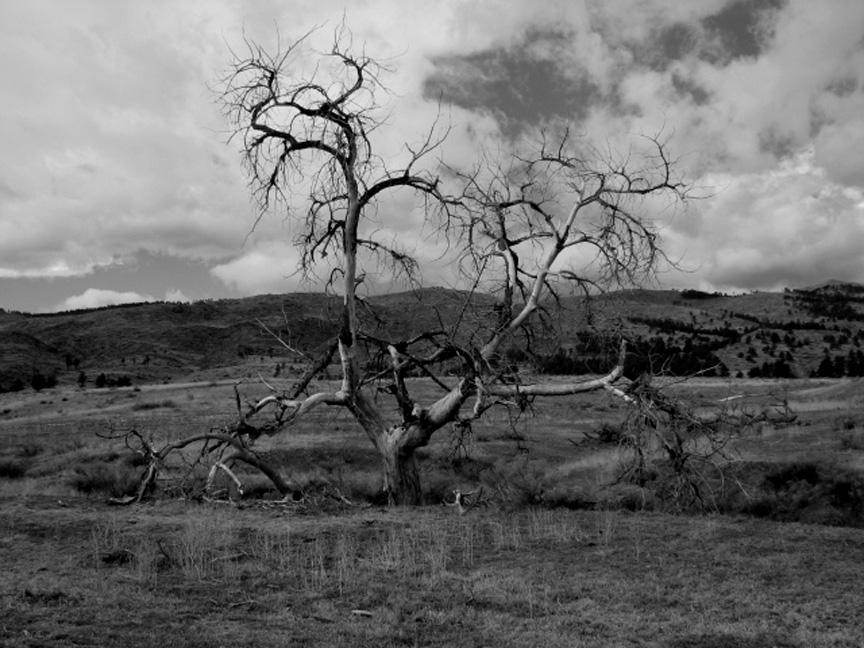 Fotografia alb-negru - PhotoHotel Blog
